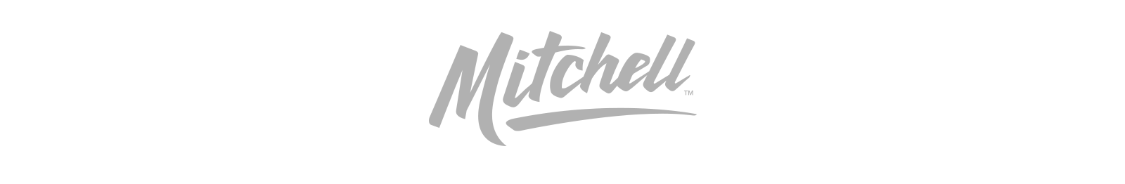 Mitchell | Guitar Center